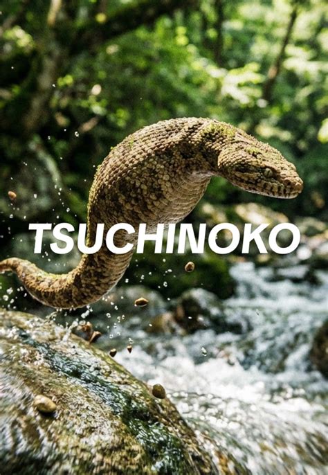 Exploring The Tsuchinoko Legend In Japanese Folklore Tiktok