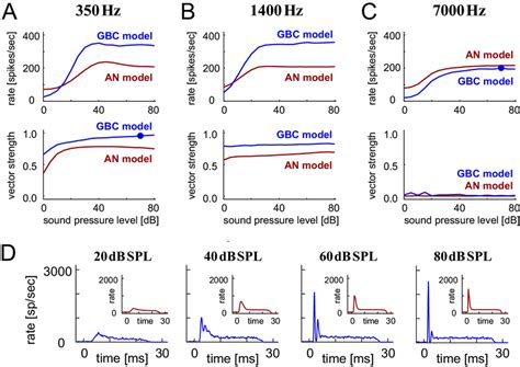Level Dependent Activity Of Model Input And Output A C Download
