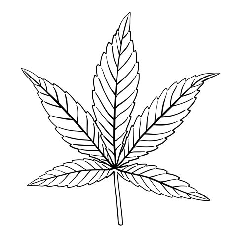 Simplicity Cannabis Leaf Freehand Drawing Flat Design 18907370 Vector Art At Vecteezy