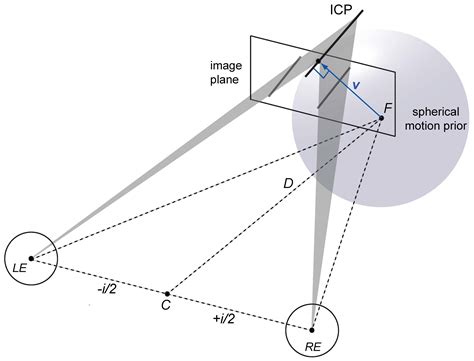 Perception Of Motion