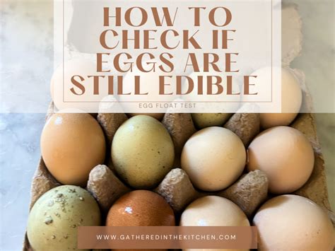 How To Check If Eggs Are Still Edible Perform An Egg Float Test At Home Gathered In The Kitchen
