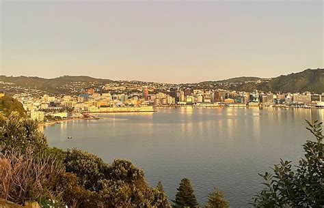 Lucy Corry Underrated Culinary Goodness In Wellington