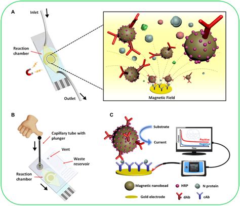 a chip sensor with a magnetic concentration of dmbs b smartphone chip
