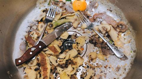 The Easiest And Most Natural Ways To Get Rid Of Garbage Disposal Odors Cleaning Organizing