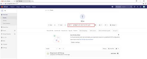 3、sourcetree通过putty连接gitlab rslai 博客园