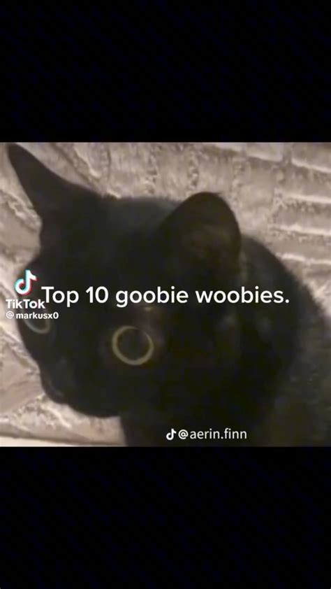 Top 10 Goobie Woobies R Jschlattsubmissions