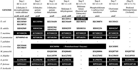 Pathway Reconstruction From Genomic Data And Chromosomal Clustering Of