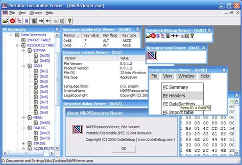 Codedebug 32 Bit64 Bit Pe Resource Viewer