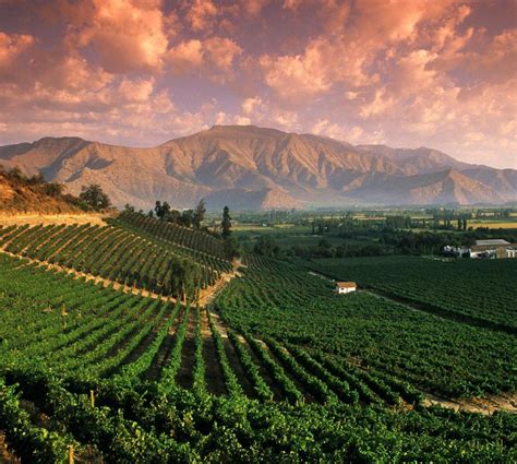 Best Wineries In Mendoza Argentina