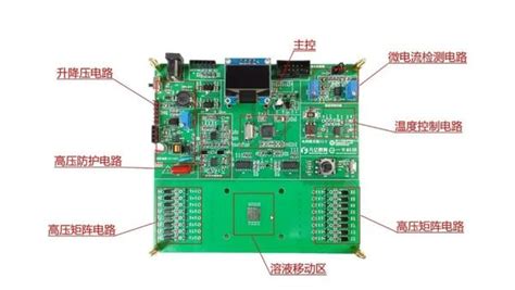 《嵌入式硬件》课程上新！硬件开发pcb设计开发板中级专项认证 知乎