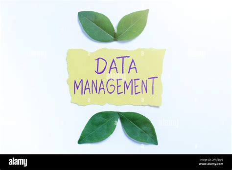 Sign Displaying Data Managementthe Practice Of Organizing And