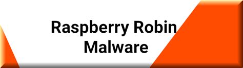 Raspberry Robin Malware Removal