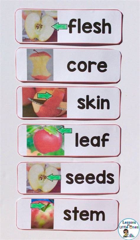 Apple Science Experiments Stem Activities Artofit