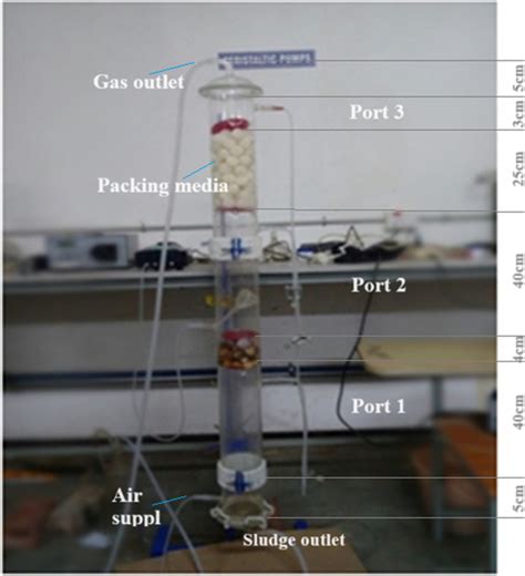 Actual Setup For Saab Reactor Setup Download Scientific Diagram