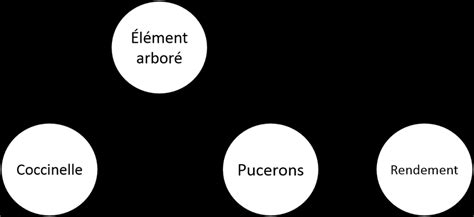 Exemple Simplifié Dun Graphe Orienté Acyclique De Variables Pouvant Download Scientific