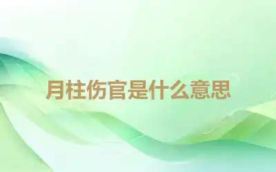 月柱伤官是什么意思 八字社 月柱伤官是什么意思 八字社