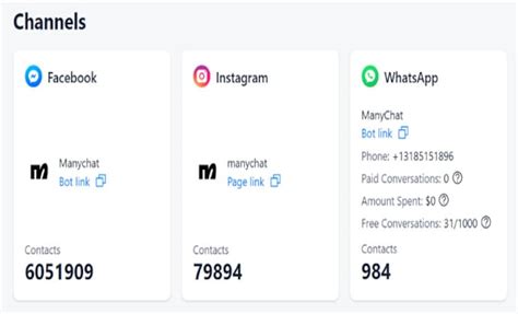 create ai chatbot for your business using chatgpt and manychat by