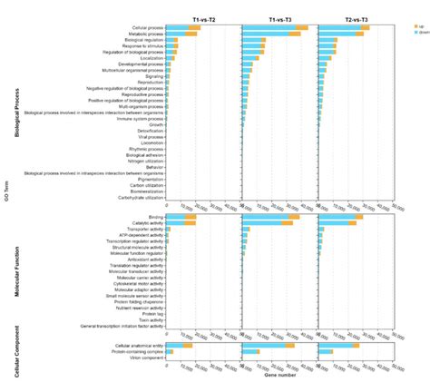 Go Annotation Analysis Of Degs In Stem Rot Pathogen Infecting Stem