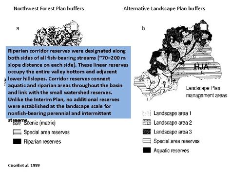 Ecological Rationale For Determining Buffer Width Forest Ecosystem