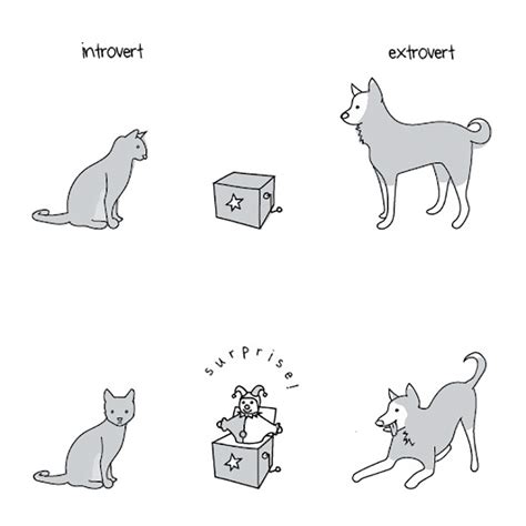 Whats Inside An Introverts Head Pics