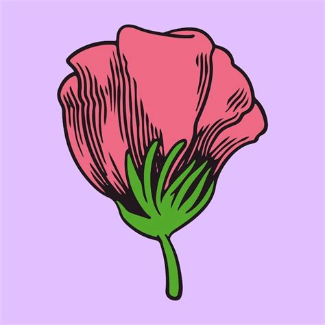 Premium Vector Hibiscus Flower Vector Illustration