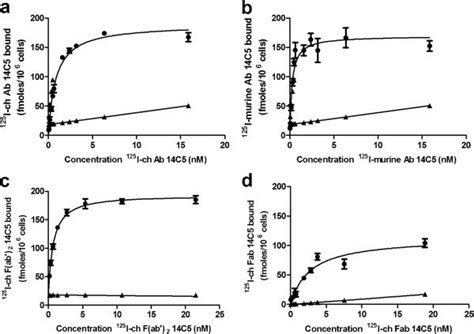 Saturation Binding Assay Of Iodinated Derivatives Of The Mab 14c5 To