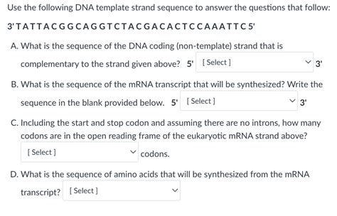 Solved Use The Following DNA Template Strand Sequence To Chegg