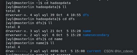 master上没有datanode，而slave1和slave2是有什么原因啊？ hadoop master 没有datanode slave