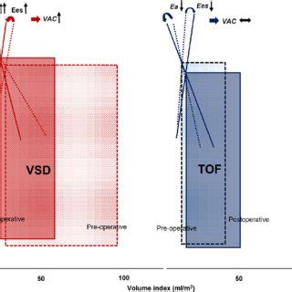 Example Of Pressure Volume Loops Compared With Preoperative Patients Download Scientific