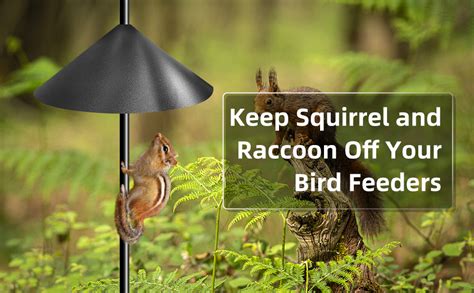 Amazon.com : 2 Pack 19 Inch Large Squirrel Baffle for Bird Feeder Pole, Squirrel Guards for Bird ...