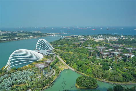 新加坡濱海灣花園 Gardens By The Bay《瘋狂亞洲富豪》雙冷室、擎天樹、天空步道，走進電影城市花園 披著虎皮的貓