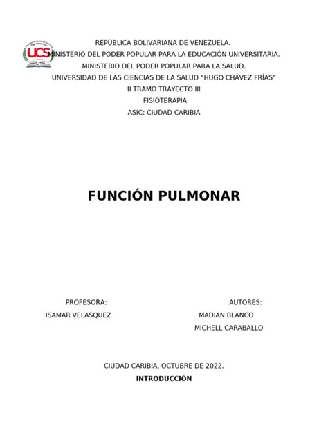 Función Pulmonar Pdf Pulmón Sistema Respiratorio