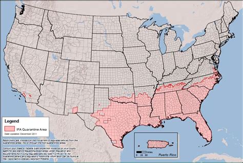 How Do You Identify Fire Ants Ask An Entomologist