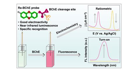 Dual Mode Ratiometric Electrochemical And Turn On Fluorescent Detection Of Butyrylcholinesterase