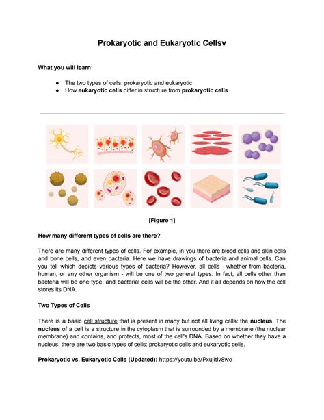 Solution Exploring The Intricacies Unraveling The Differences And Similarities Between