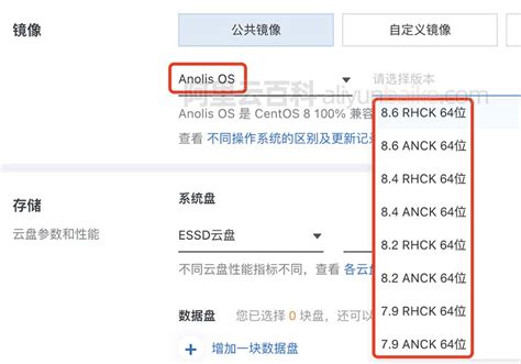 阿里云ecs Anolis Os龙蜥镜像版本及内核选项介绍 开发者社区 阿里云