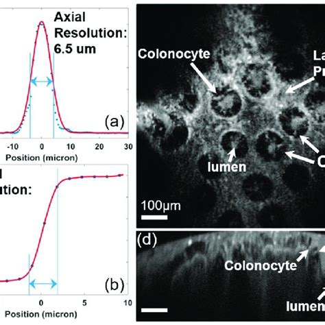 Characterization Of The Parametrically Resonant Scanner On Both Inner Download Scientific