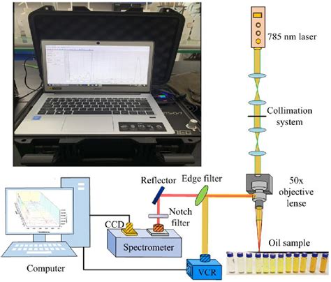 Raman Detection Platform Download Scientific Diagram