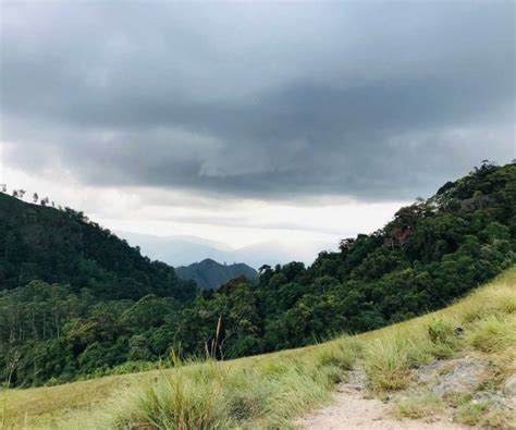 Narangala Pepper Life Travel Agency In Colombo