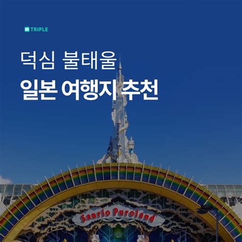 지브리부터 하루키까지덕심 불태울 일본 여행지 추천 나고야 지프리 파크 도쿄 무라카미 하루키 도서관 오사카 유니버설