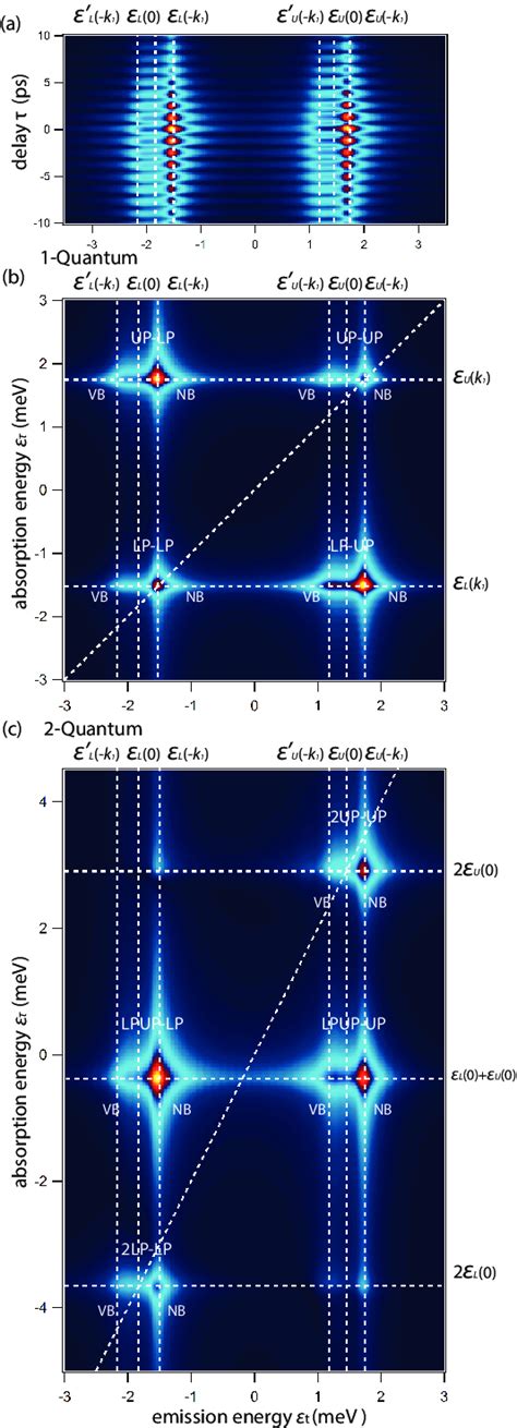Simulation Based On Exciton Photon Local Mode Basis Download Scientific Diagram