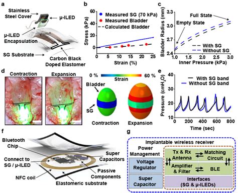 A Wireless Closed Loop System For Optogenetic Peripheral Neuromodulation Pmc