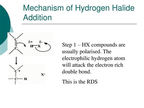 Ppt Alkenes Powerpoint Presentation Free Download Id6368885