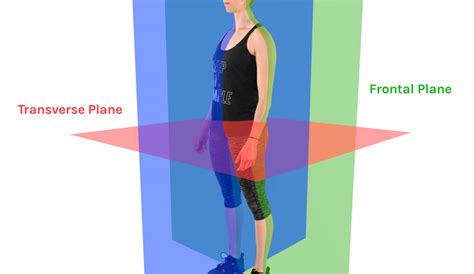 Sagittal Plane Movements