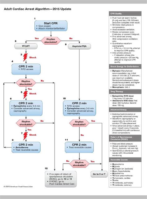 Updated 2015 Acls Guidelines Acls