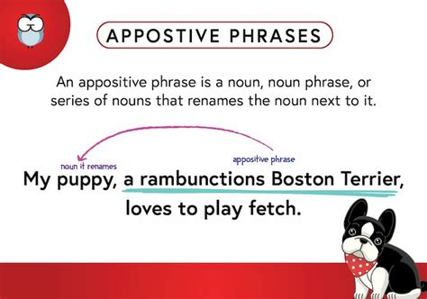 What Is An Appositive Phrase Pdfshare