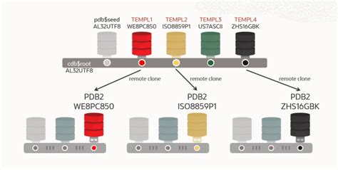 How To Create Pdbs With Different Character Sets In The Same Cdb Database Heartbeat