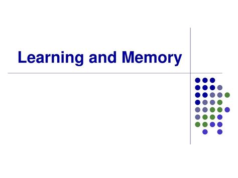 PPT Learning And Memory PowerPoint Presentation Free Download ID 6670643