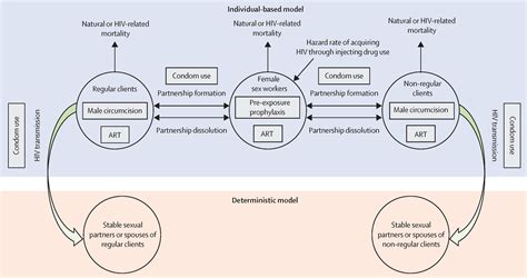 Hiv Incidence And Impact Of Interventions Among Female Sex Workers And Their Clients In The