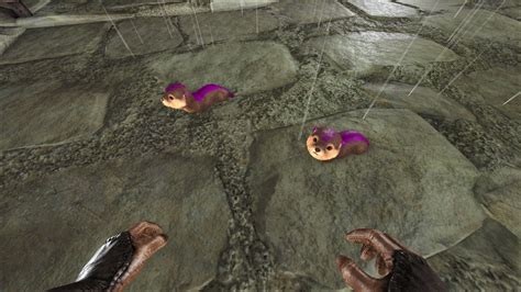 My First Color Mutation R Ark